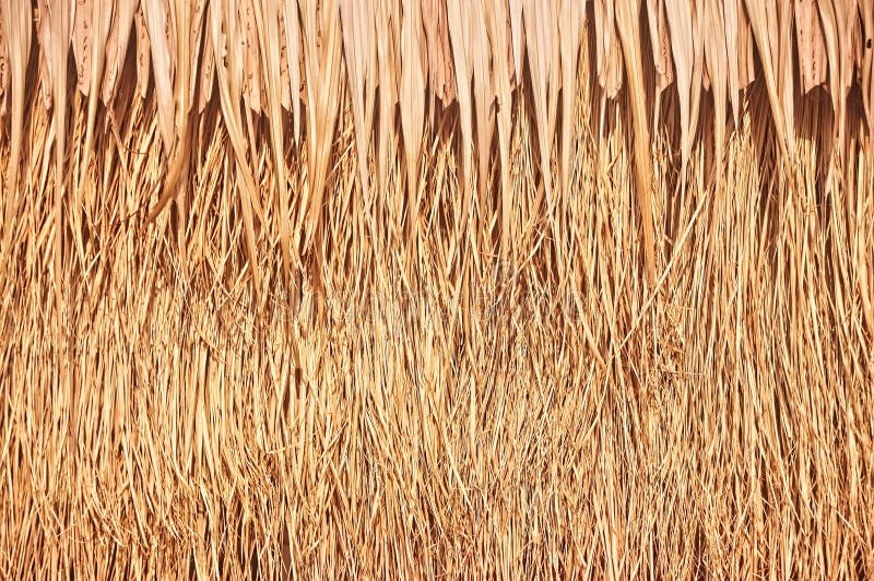1,395 Background Pattern Thatch Wall Texture Stock Photos - Free ...
