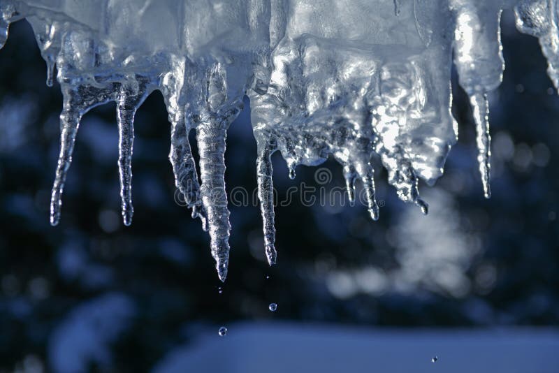 Many Icicles Hanging from the Ceiling of the Cave Stock Photo - Image ...