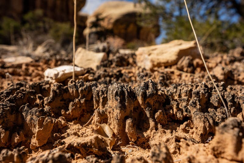 Desert Crust on the Edge of a Cliff in the Needles Stock Photo - Image ...