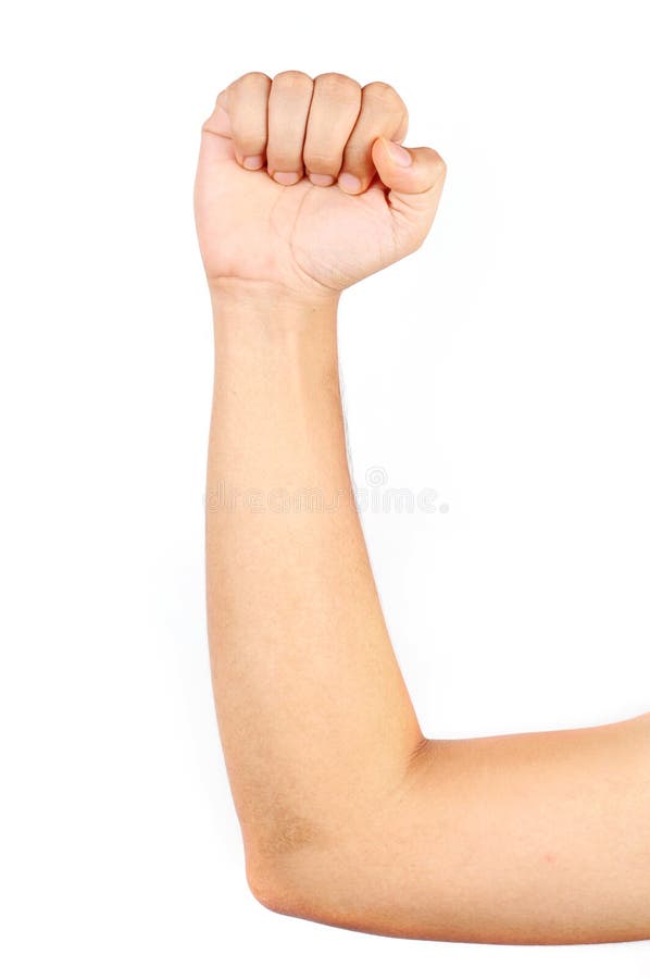 Skinny Arm Flexing stock photo. Image of picking, person - 17366676