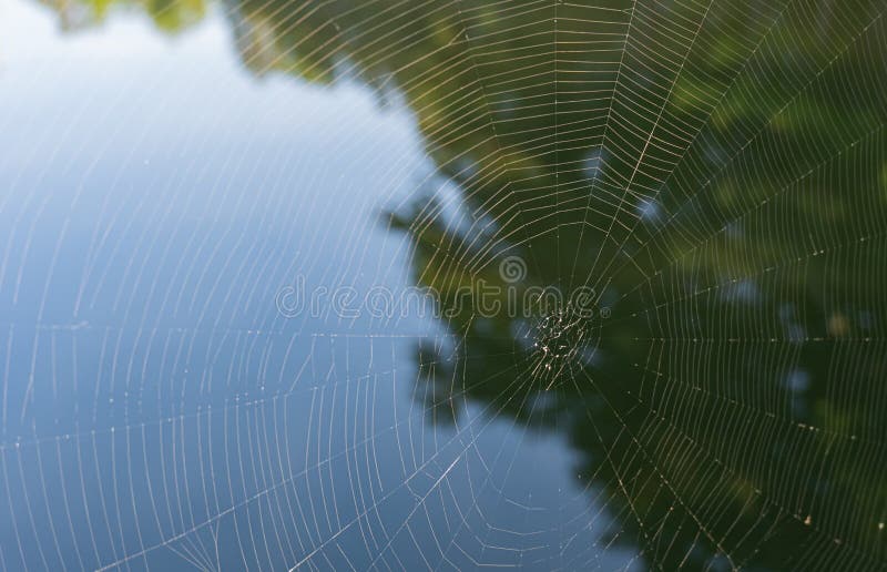 Close-up of the Threads of a Circular Spider`s Web with the Reflection ...
