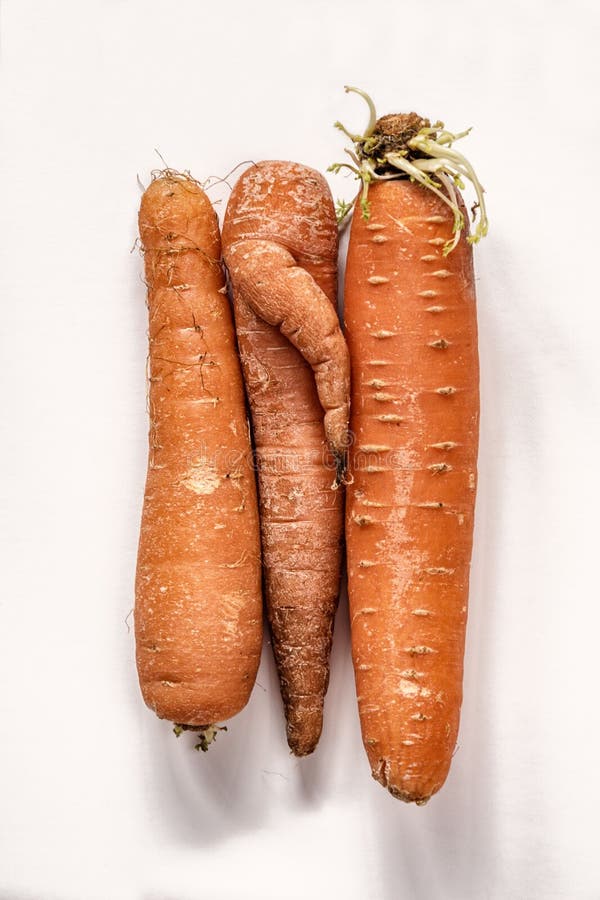 Close-up of Three Carrots in Different Shapes Stock Image - Image of ...