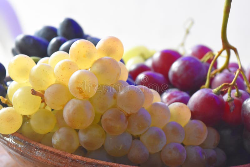 Close-up on Three Different Colors of Grape Stock Photo - Image of ...