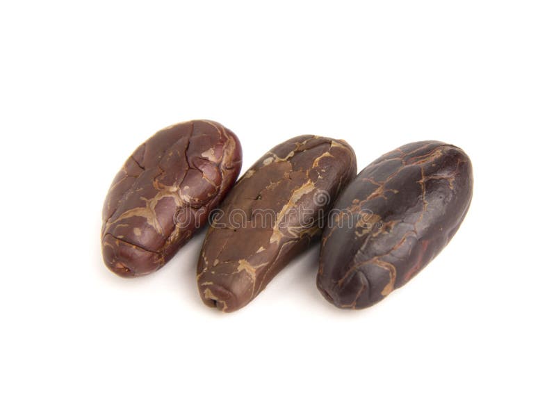 Cacao grains background stock image. Image of grain - 269843353