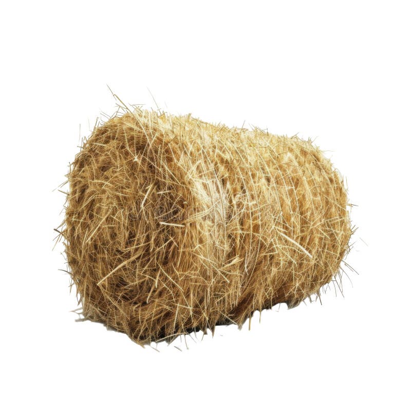 A Close-up of a Tightly Packed Hay Bale Stock Image - Illustration of ...