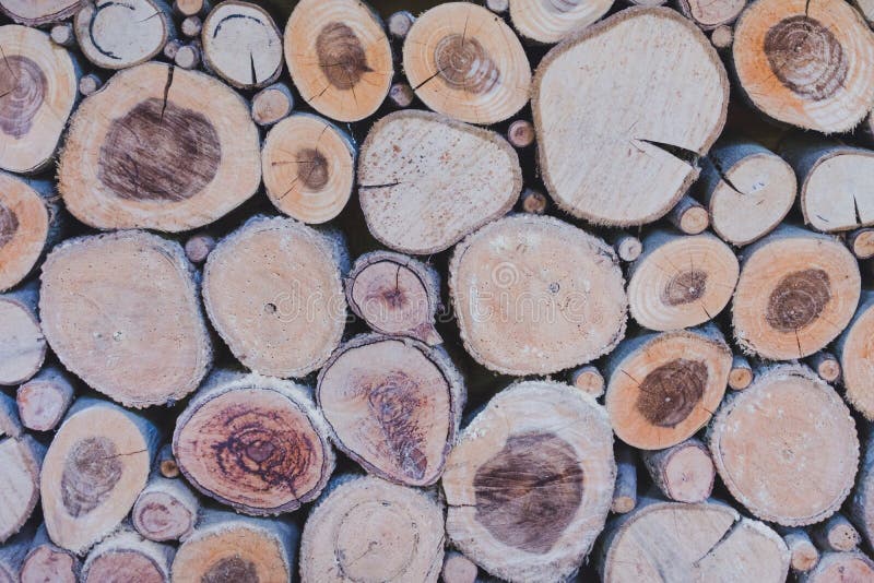 Close Up of Timber Pile Background Texture, Free Space for Design Text ...