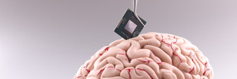 Tiny Computer Chip Detail in Human Brain Stock Photo - Image of ...