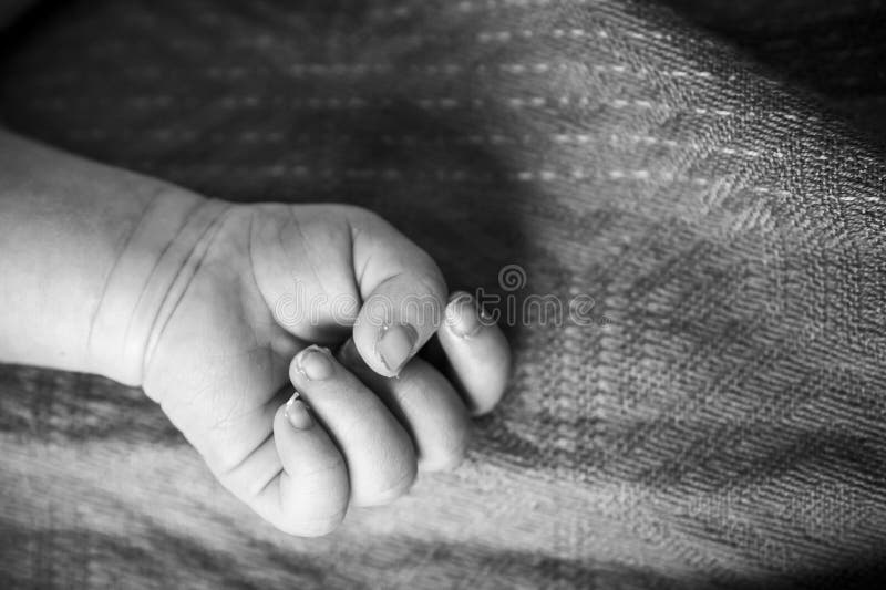 Close-up of Tiny Cute Hand of a Newborn Baby Stock Image - Image of ...