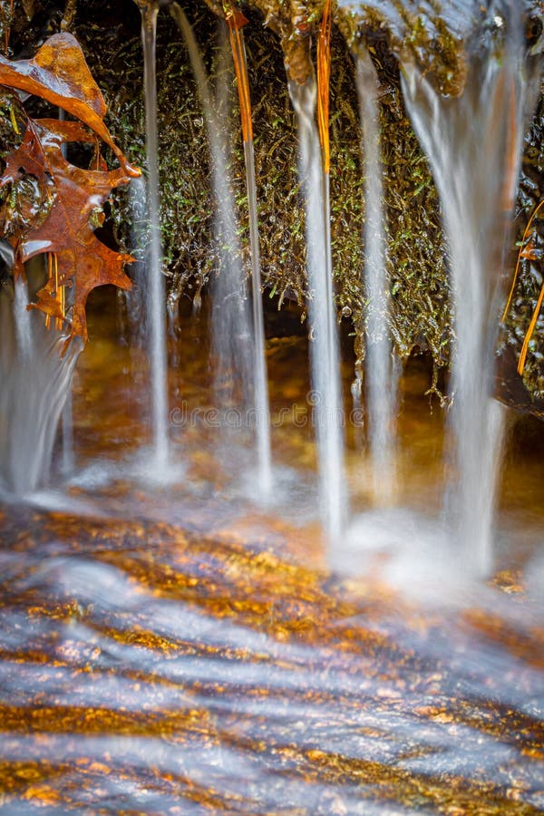 Close Up of Tiny Water Streams Falling Over the Moss in the Forest ...