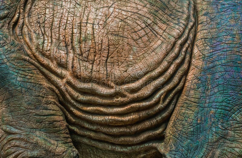 Texture Dinosaur Skin Stock Photos - Download 597 Royalty Free Photos