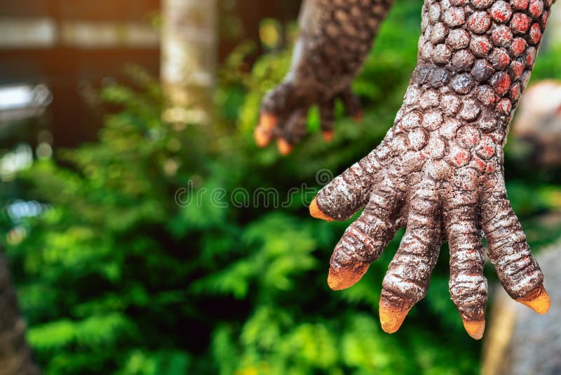 Close Up To Colorful and Patterns of Dinosaur Model Surfaces Created ...