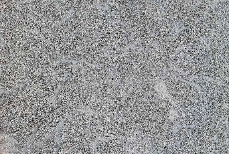 Close Up To Sand Patterns and Small Sand Pellets Created by Crab on ...