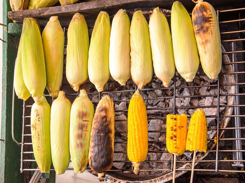 Close up of toasted corn stock image. Image of appetizing - 33045015