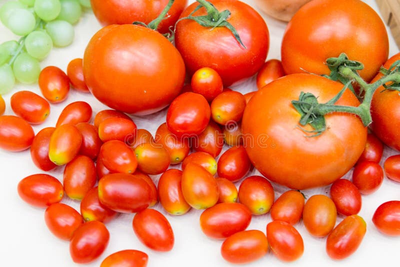 Tomato of Different Varieties Stock Image - Image of color, agriculture ...