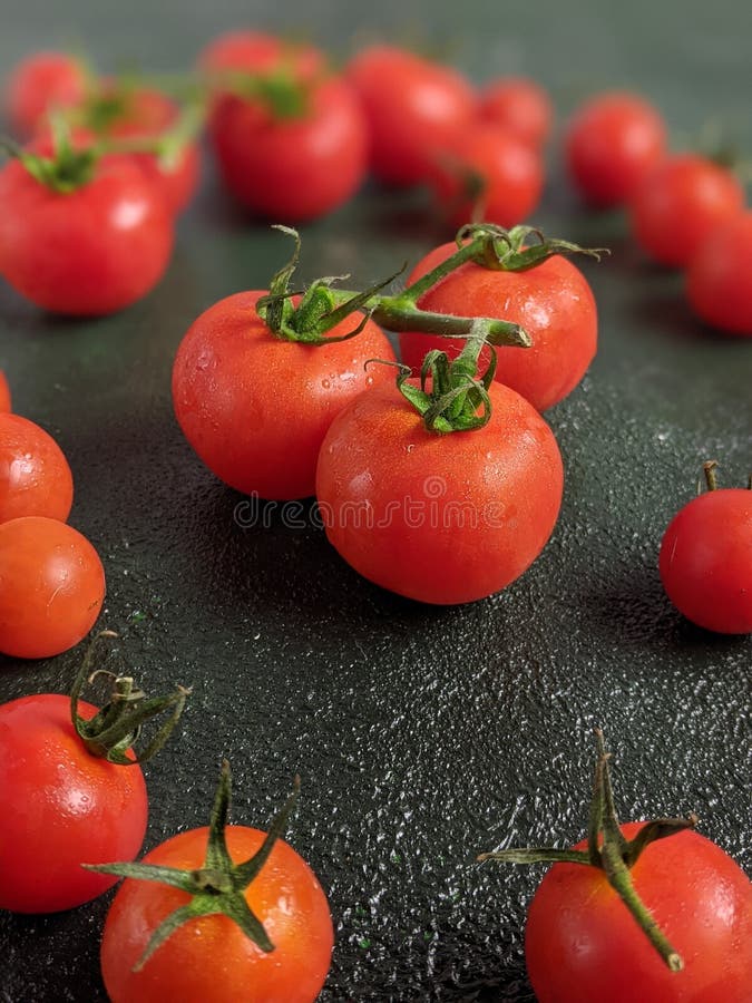 Close Up of Tomatoes Dor Ingredient Concepy Stock Image - Image of ...