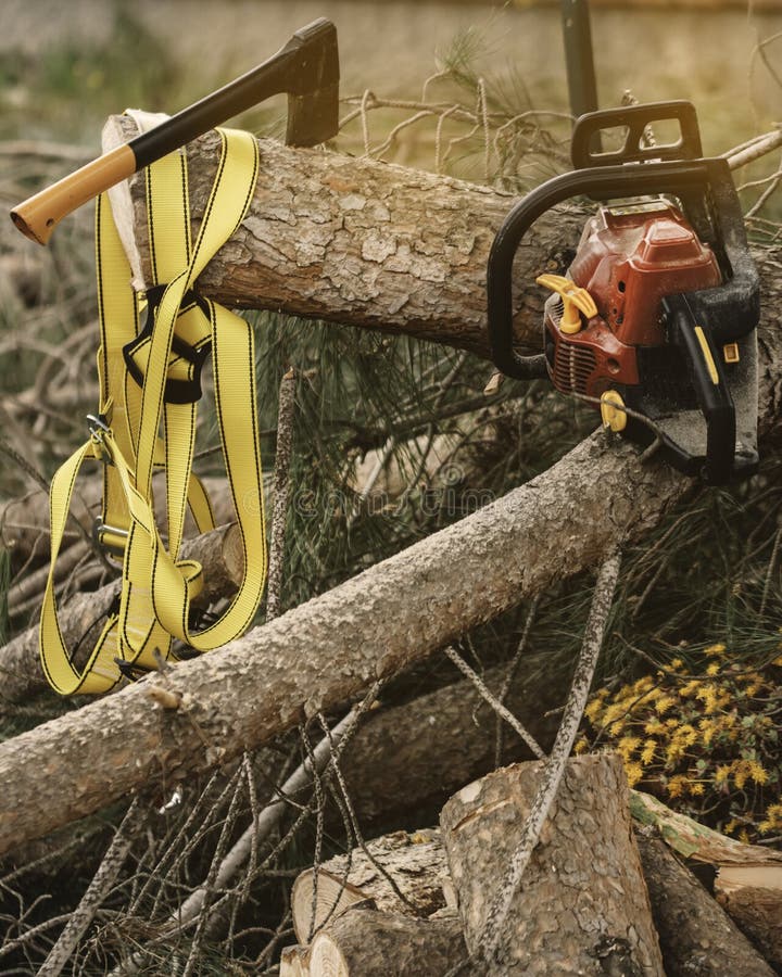 Close-up of Tools for Cutting Wood in the Field Such As a Mechanical ...