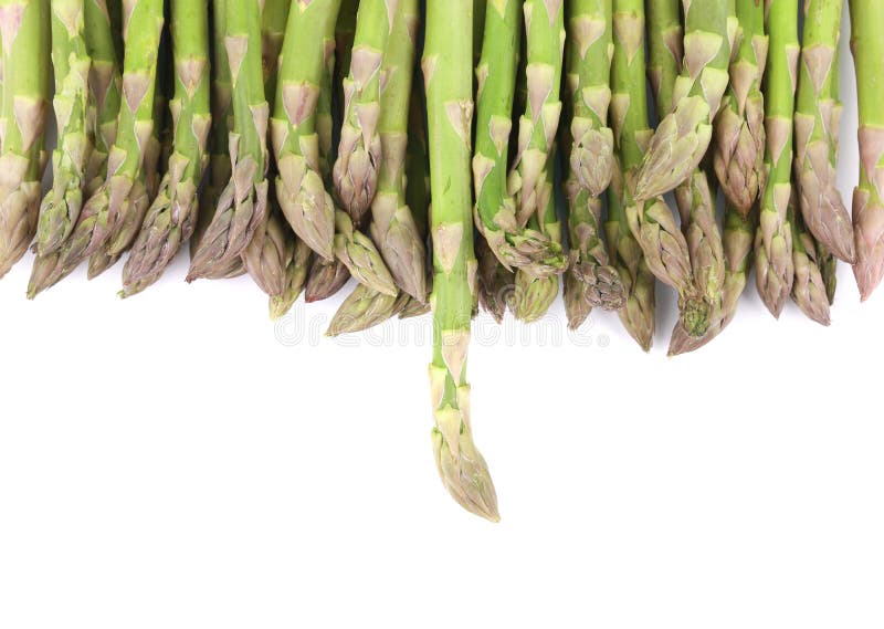 Asparagus stock photo. Image of ripe, vegetable, green - 13062084
