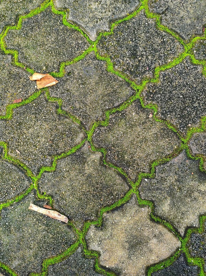 This Close-up, Top-down Photograph Captures a Textured Surface Made of ...