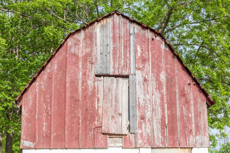 Rust & barn boards stock photo. Image of flowers - 20780906