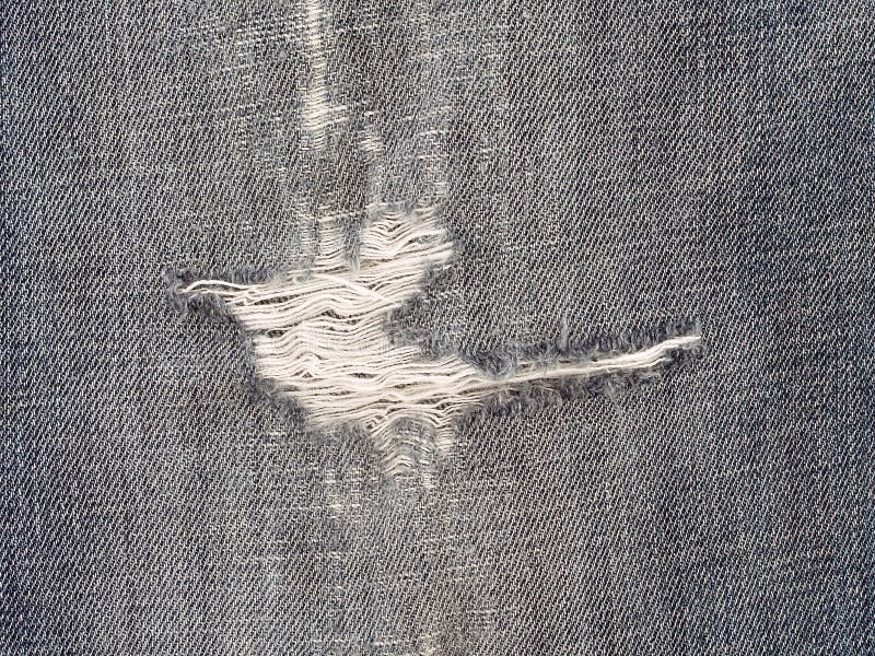 Close up of torn flyscreen stock photo. Image of aged - 277891456