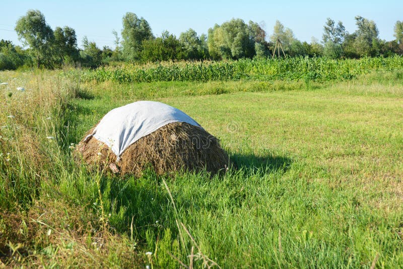 Traditional Hay Stack. Hay Stack in the Countryside Field Stock Photo ...