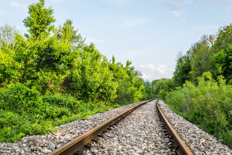 Close-up of Train Tracks with the Forest Stock Photo - Image of ...