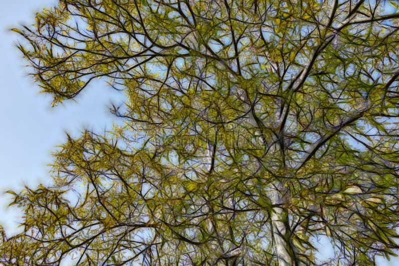 Close up tree in nature stock image. Image of branch - 130447467