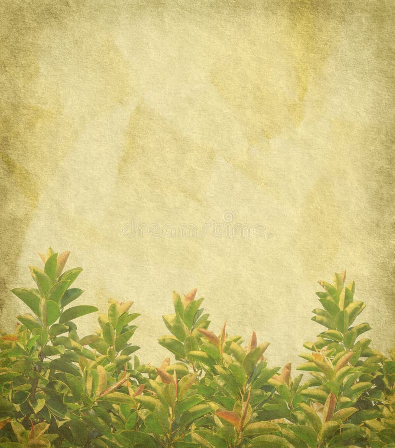 Close Up Tree on Paper Texture Stock Photo - Image of full, light: 20840822