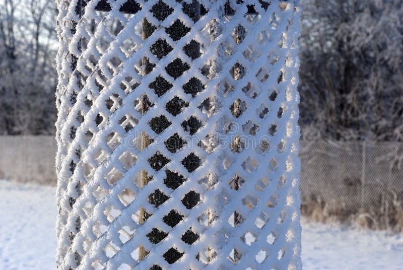 Close Up Tree protection stock image. Image of rural - 17585571