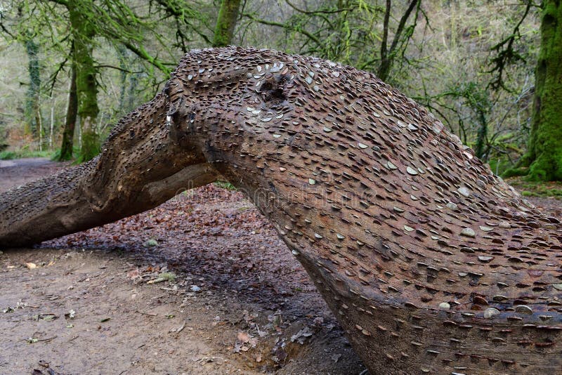 Tarr steps in Devon stock photo. Image of tarr, english - 125051876