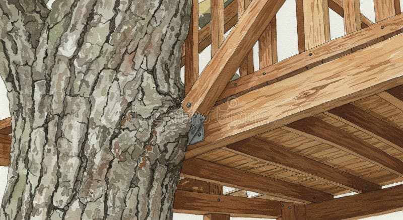 Close Up of a Tree Trunk Supporting a Wooden Treehouse Structure with ...