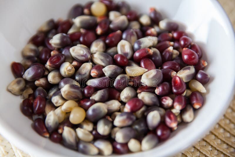 Close Up of Tri Color Popcorn Kernels in a White Bowl with Selective ...