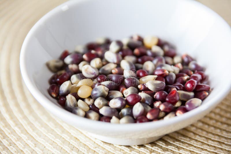 Close Up of Tri Color Popcorn Kernels in a White Bowl with Selective ...