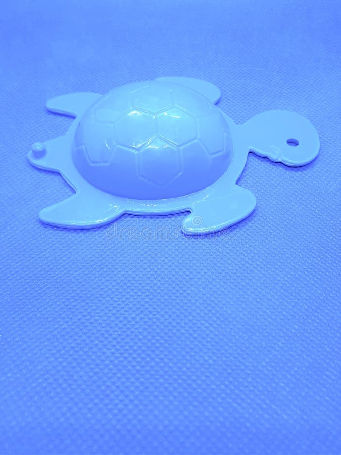 Close-up of a Turtle, a Symbol of Longevity, Wisdom and Protection on ...