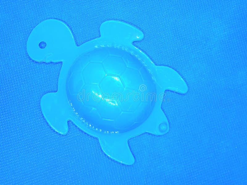 Close-up of a Turtle, a Symbol of Longevity, Wisdom and Protection on ...