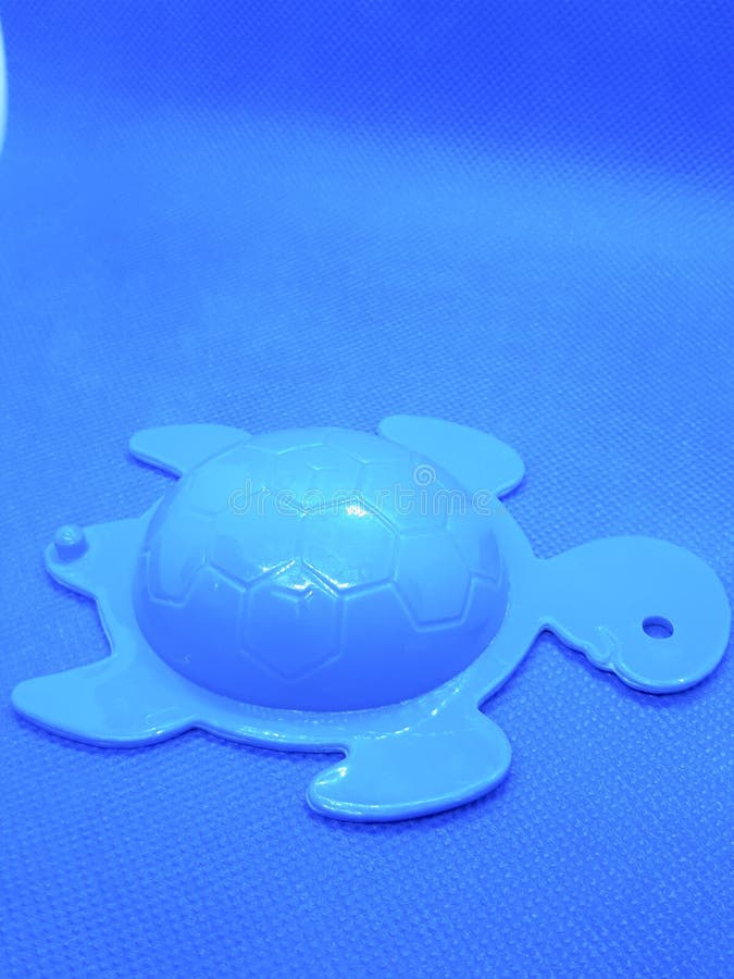 Close-up of a Turtle, a Symbol of Longevity, Wisdom and Protection on ...