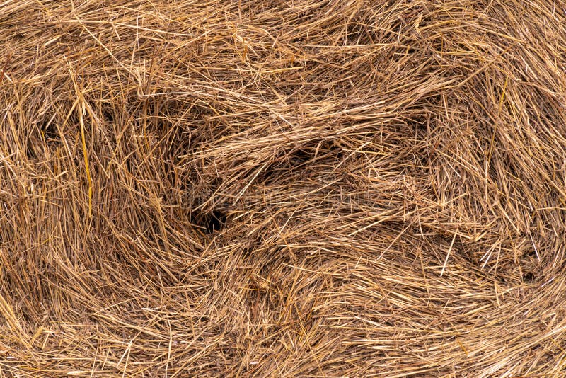 Close-up of a Twisted Stack of Straw Stock Photo - Image of farming ...