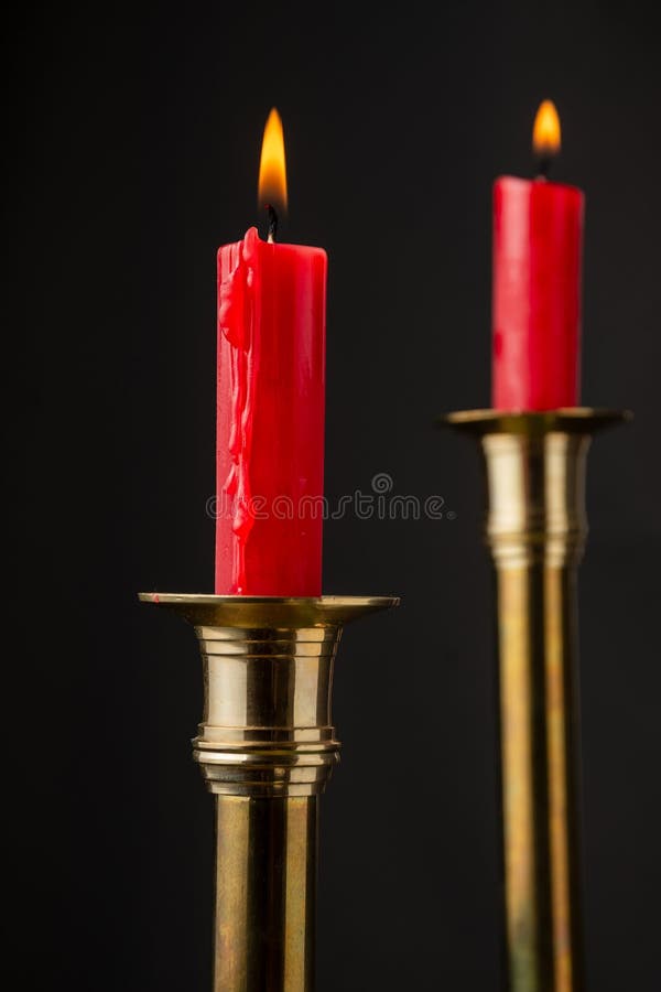 The Close-up of Candlestick Flower. Stock Image - Image of cassia, daun ...