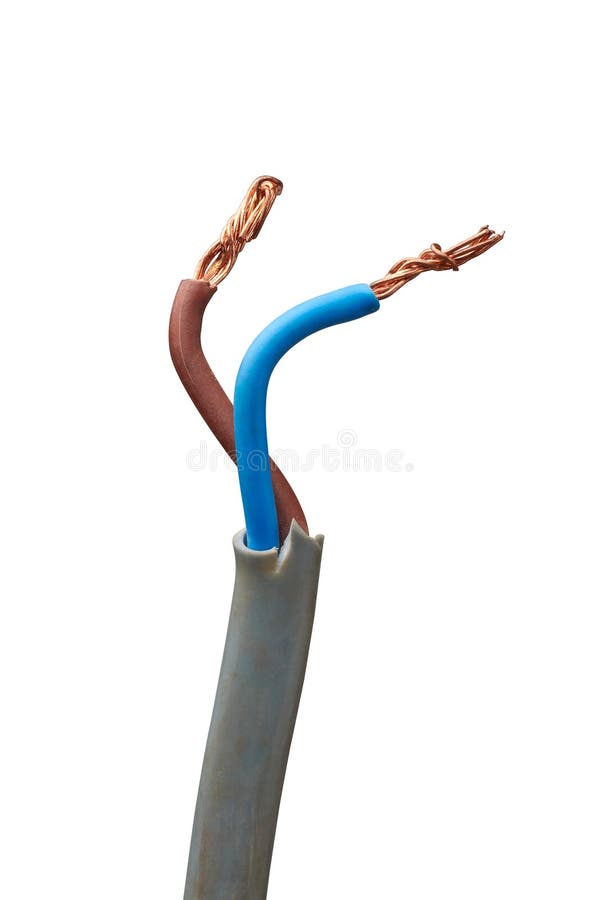 Close-up of Two Core Electrical Cable Isolated Stock Photo - Image of ...