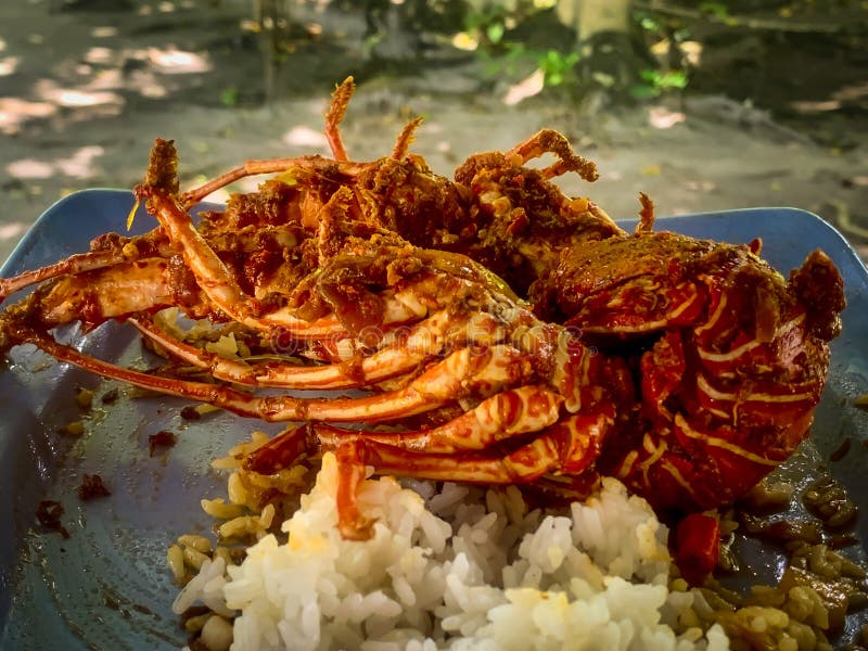 Close-up of Two Fried Lobsters Stock Image - Image of indulgence ...