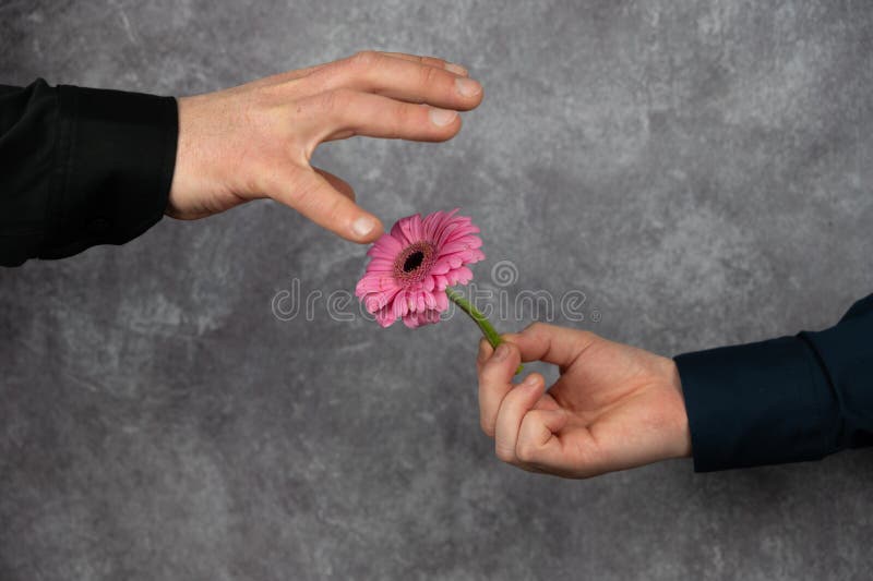 Flower Exchange - Symbol of Connection Stock Photo - Image of gerbera ...