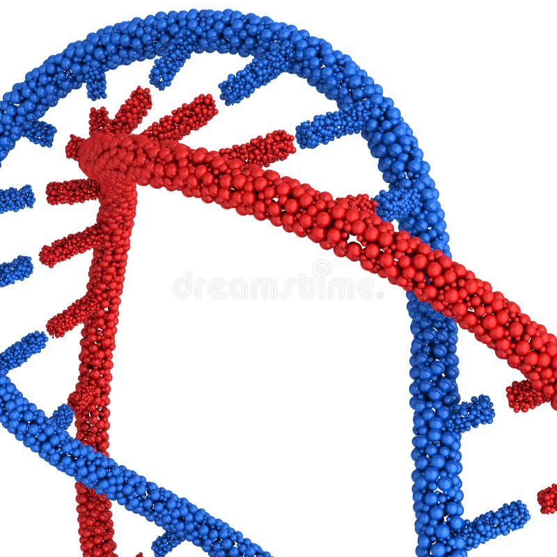 Close Up Dna Double Helix Molecules and Stock Illustration ...