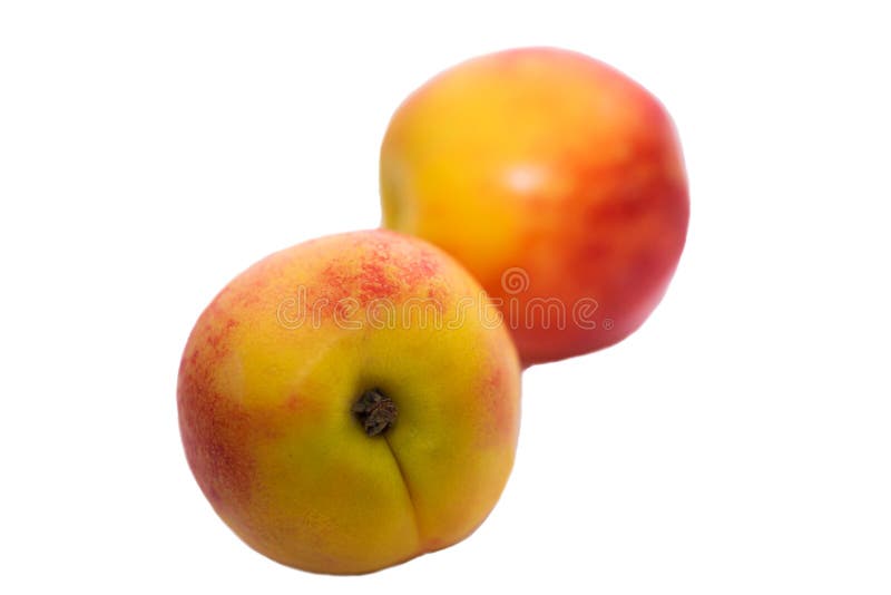 Closeup of Two Nectarines on White Isolated Background Stock Photo ...