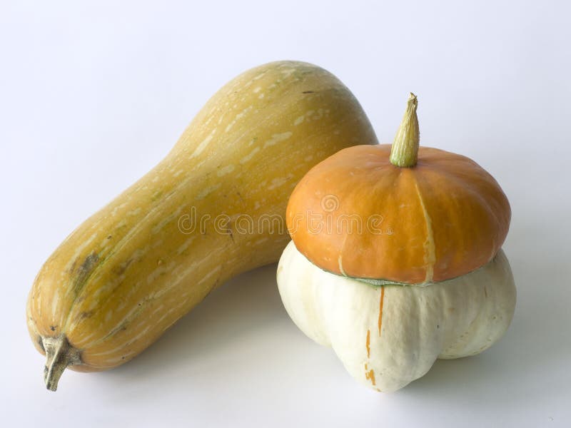 Close-up of two pumpkins stock photo. Image of plant - 10560298