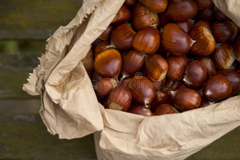 Close Up of Uncooked Chestnuts Stock Image - Image of autumn, food ...