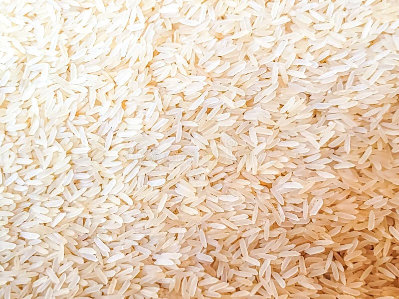 Close Up of Uncooked Grain Rice Stock Photo - Image of pile, close ...