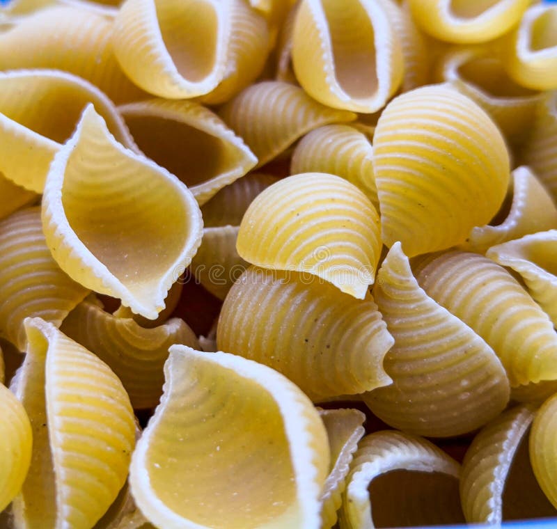 Uncooked shell pasta stock image. Image of ingredient - 184631427