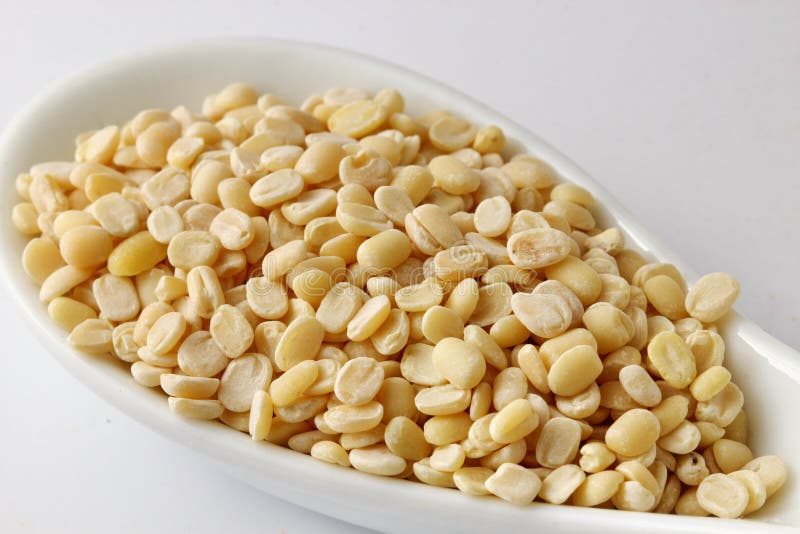 Urad daal or lentils stock photo. Image of protein, nutrition - 100311362