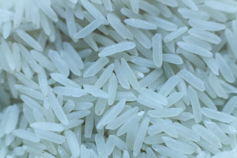 Close Up of Uncooked White Long Grain Rice Stock Image - Image of ...
