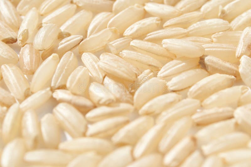 Close Up of Uncooked White Rice Grains Showing Texture and Details in ...